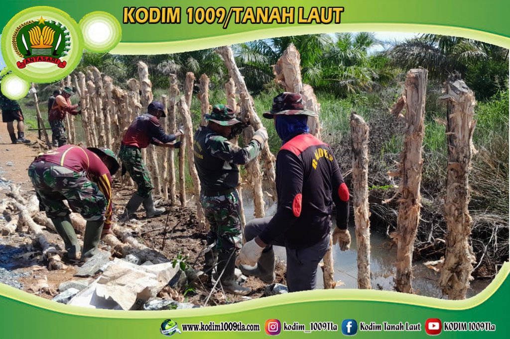 “Kayu Galam” Potensial Untuk Landasan Pemasangan Pondasi